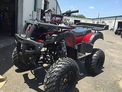 Taotao Rhino 250cc ATV Adult Size – Family Outdoors